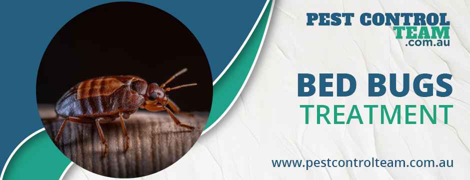 Effective Bed Bug Treatment Services in Melbourne